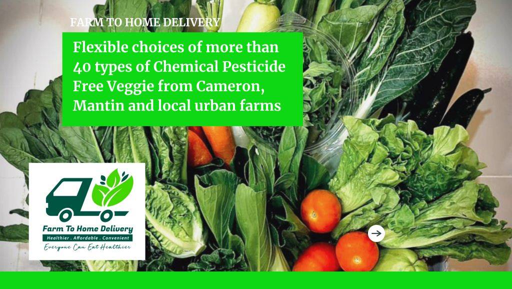 Vegetables and Fruits Retail