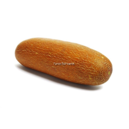 Old Cucumber 1 pc 600g