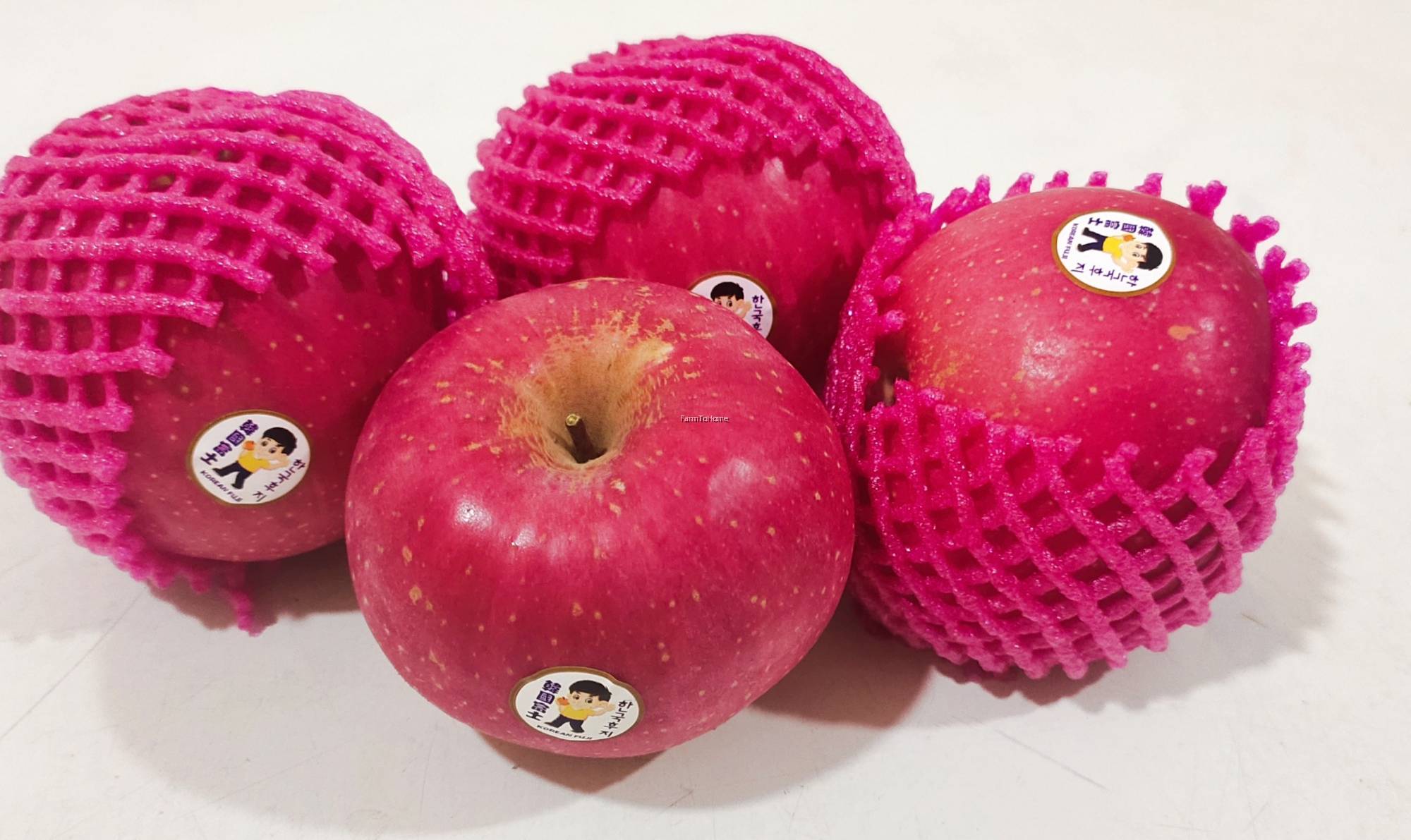 Korean Fuji Red Apple L