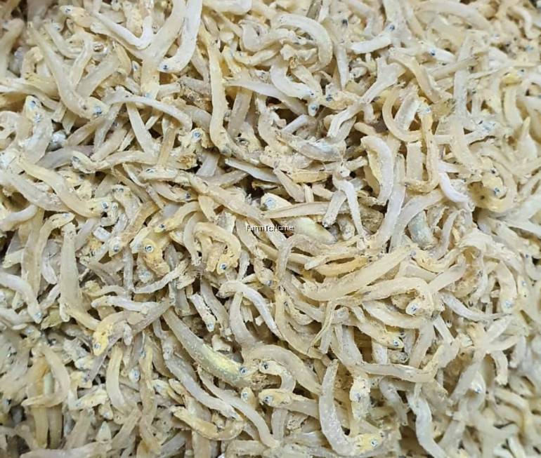 Ikan Bilis Mata Biru Di Kota Kinabalu - eleinenTurner